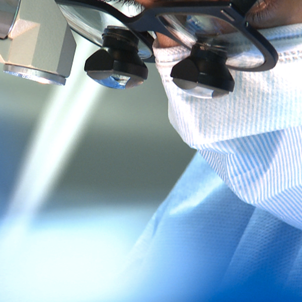 Cosmoplastic Surgery - Jericho - Jericho, New York - Realself